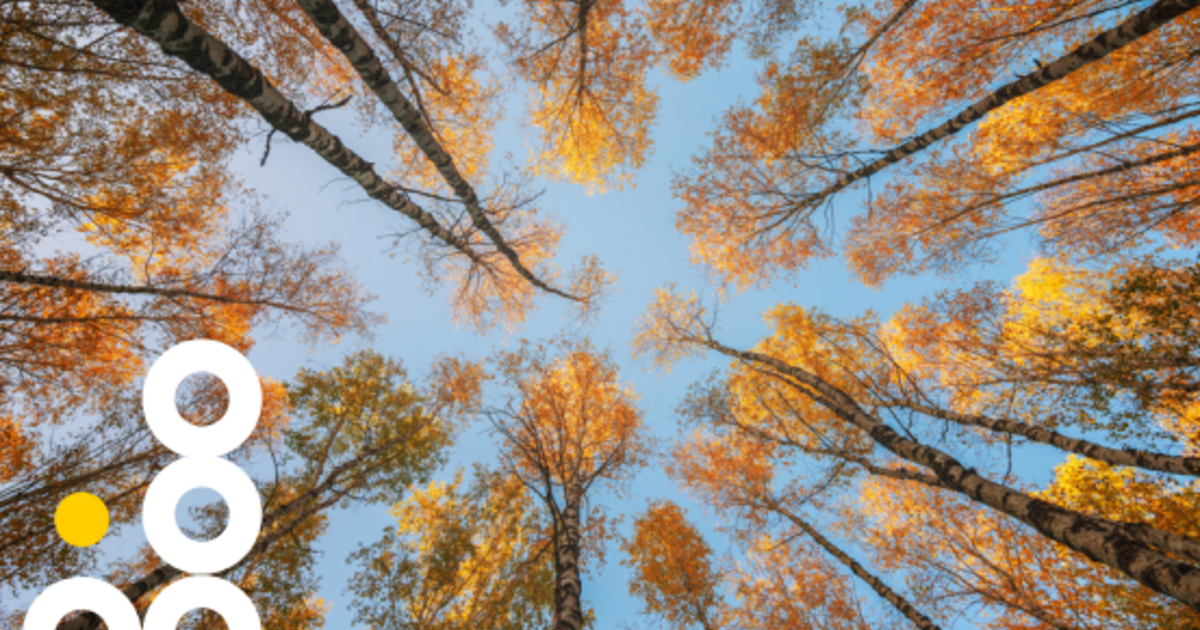 Article | OeAD Austrian Agency for Education and Internationalisation